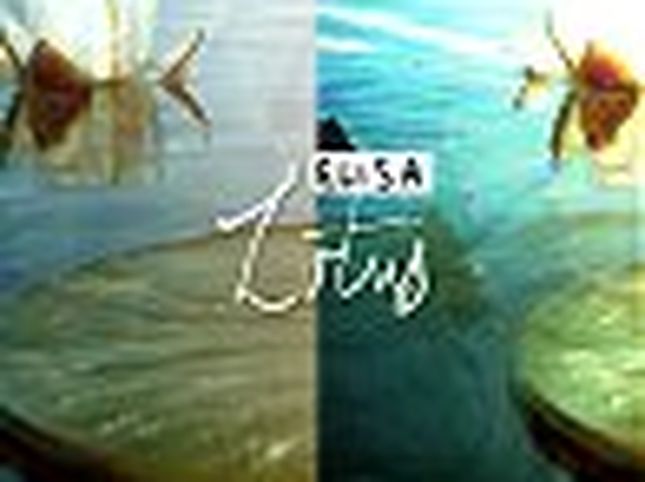 √ Elisa - LOTUS - la recensione di Rockol.it