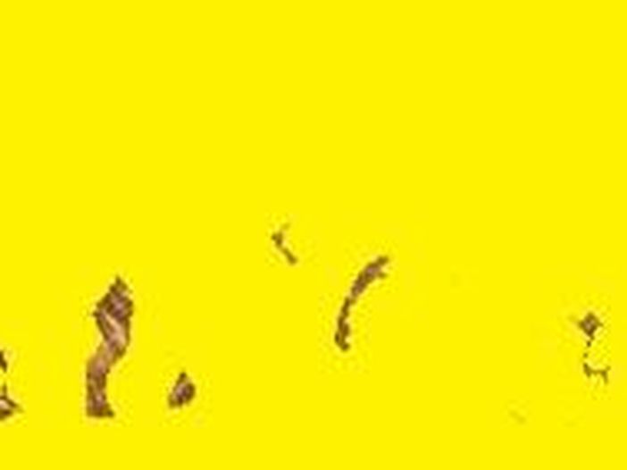 √ Genesis, la storia di "Ripples" - Rockol