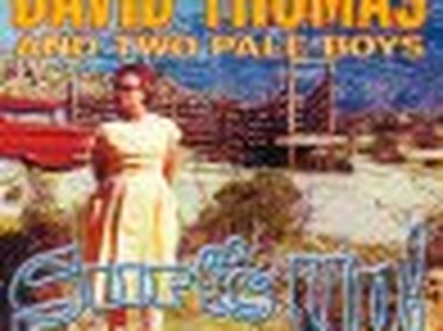 √ David Thomas & Two Pale Boys - SURF'S UP - la recensione di Rockol.it