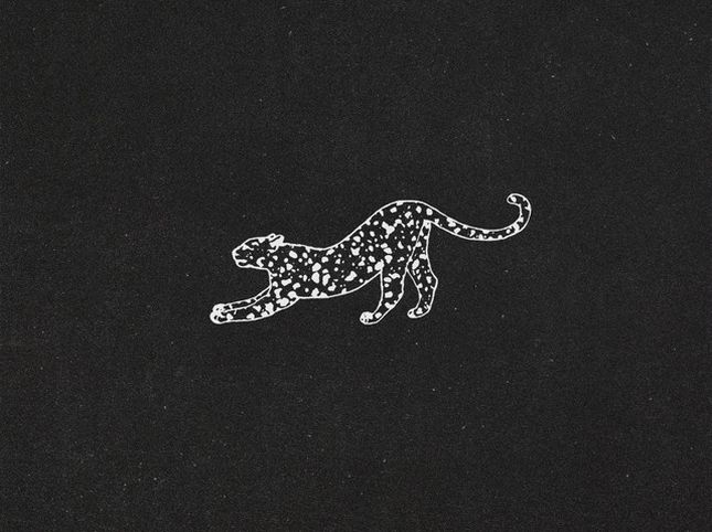 √ Coca Puma - PANORAMA OLIVIA - la recensione di Rockol.it